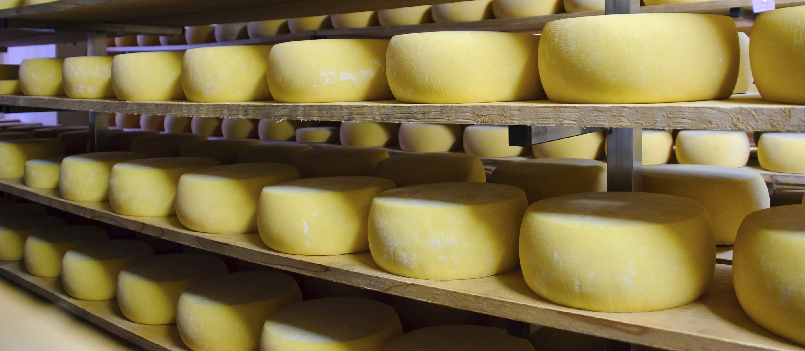 Queijo São Jorge | Traditional Cheese From São Jorge Island, Portugal