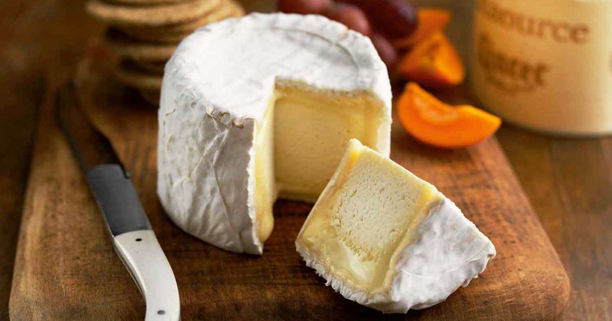 Chaource | Traditional Cheese From Chaource, France